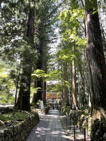長野県-光前寺 霊犬『早太郎』(わんこ寺): 南森町カイロプラクティックセンター井上達矢の頭の中